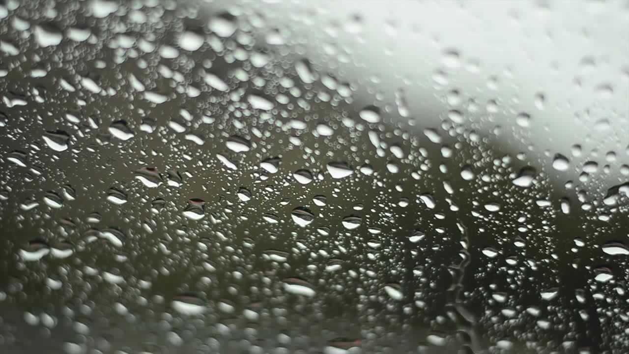 Rainy Day Background Video - No Sound - Coub
