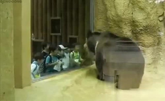 Cast-iron Speed Walker - Coub