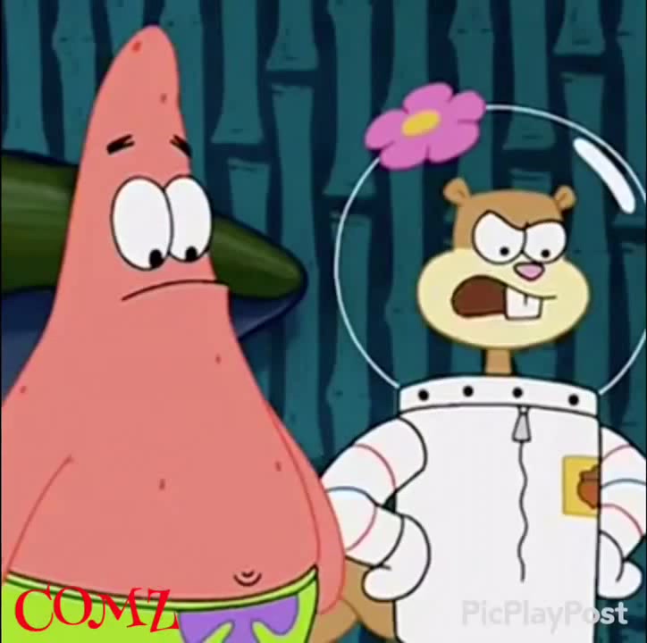 Crazy talk - Coub