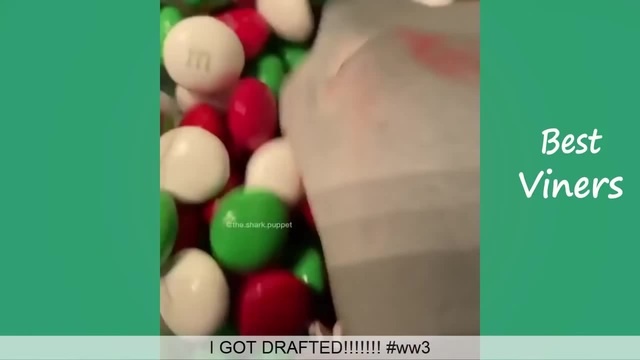 Shark Puppet Funny Instagram Videos - NEW Shark Puppet Vines - Best ...