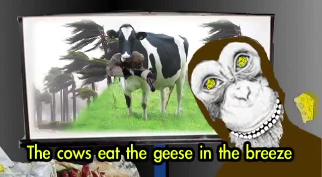 Munky Cheez 4 (2011) - Coub