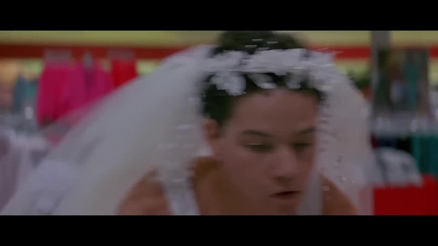 Mr. Kitty - Habits - Coub