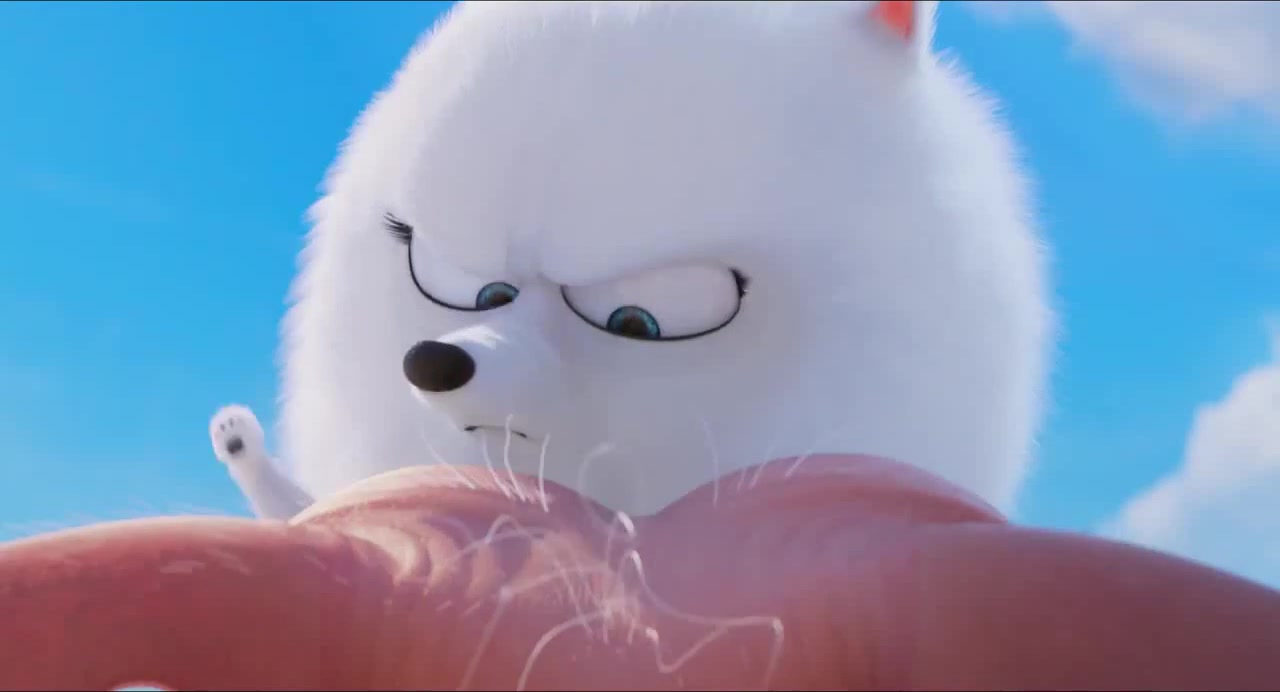 The Secret Life Of Pets - Trailer #3 (HD) - Illumination - Coub