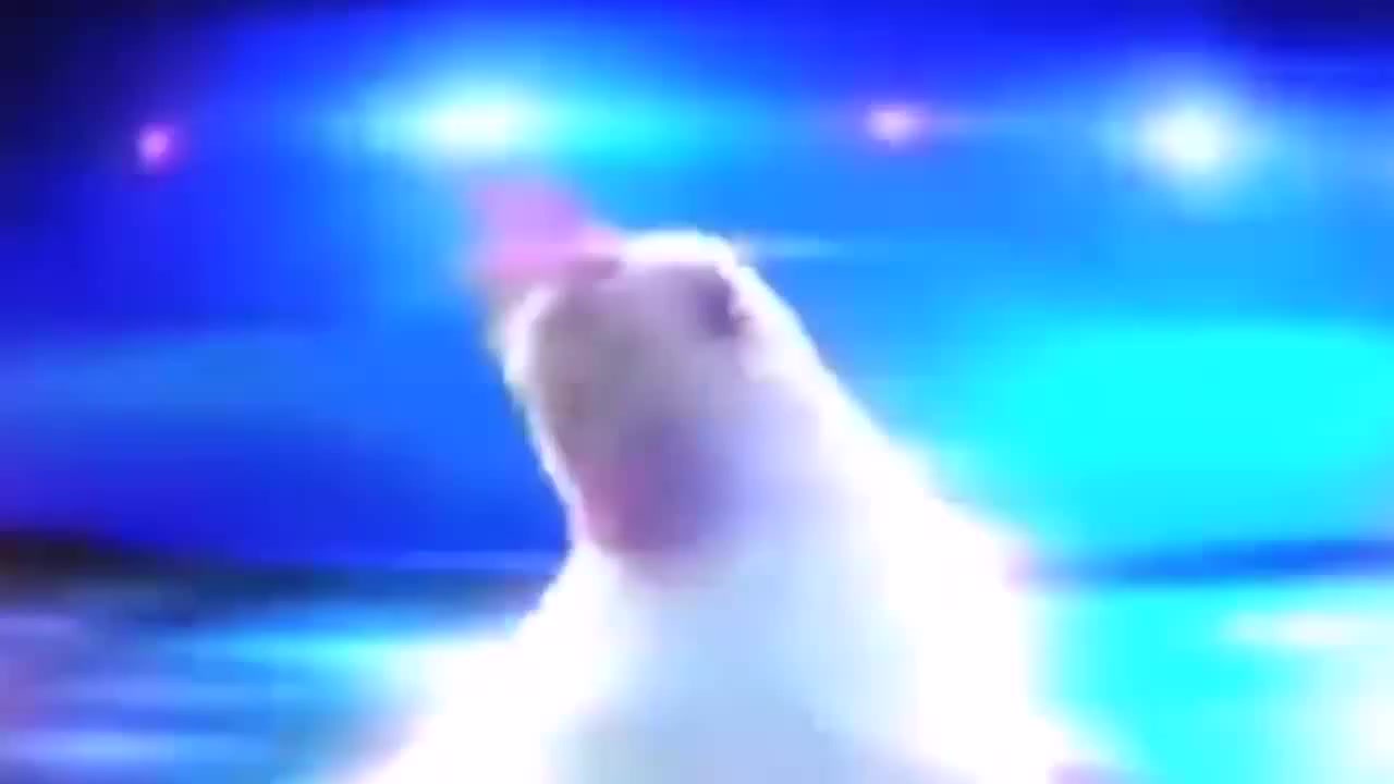 Chicken dance (song) - Coub