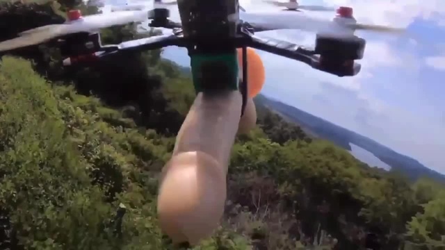 Dickiry's flight - Coub