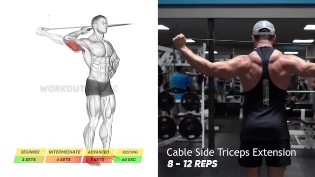 SIDE TRICEPS EXTENSION - Coub