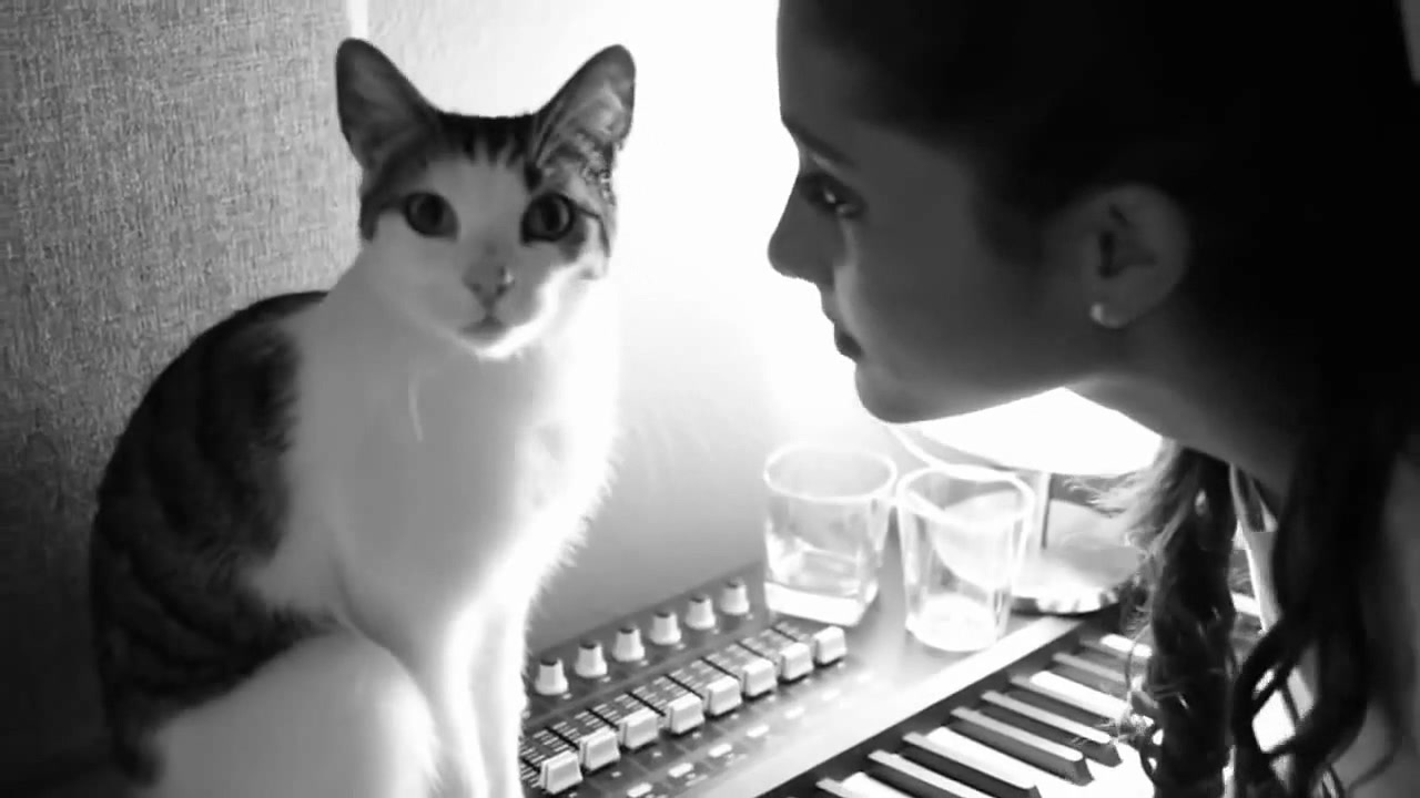 Denied by Kitty - Coub