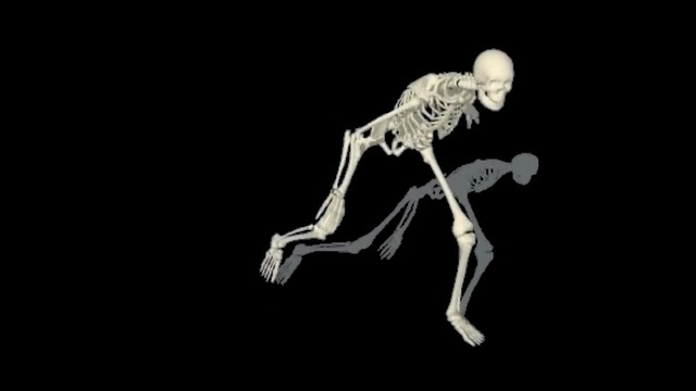 Skeleton Dance {Espionage} - Coub