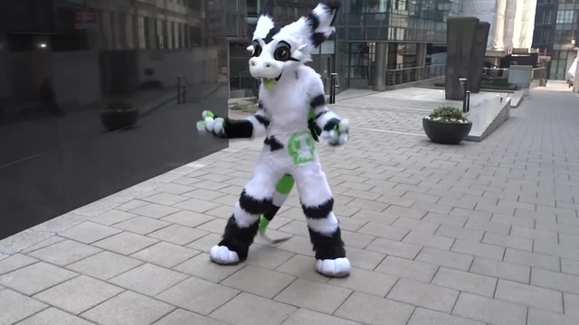 Furry Dance mix - Coub