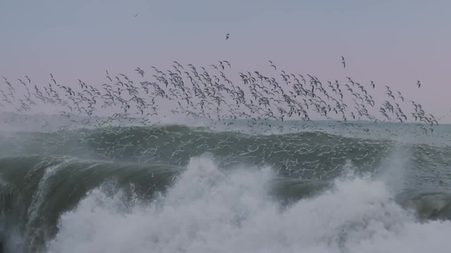 cold June of the 21st year - Coub