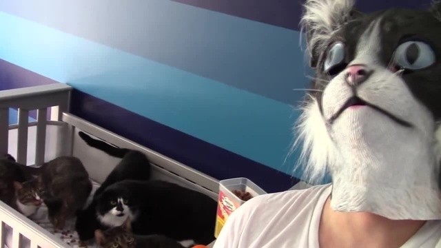 Half-Life SFX cats - Coub