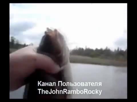 RYTPMV Демо-Версия - Coub