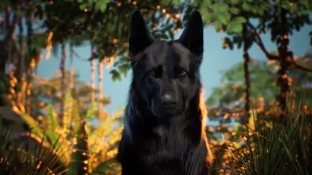 Unreal Engine Dog - Coub