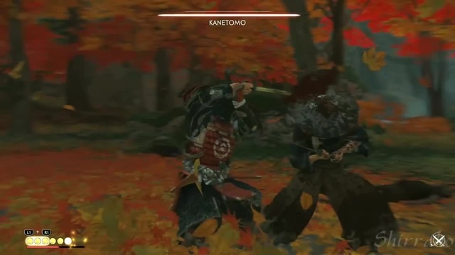 Legacy of Sekiro - Coub