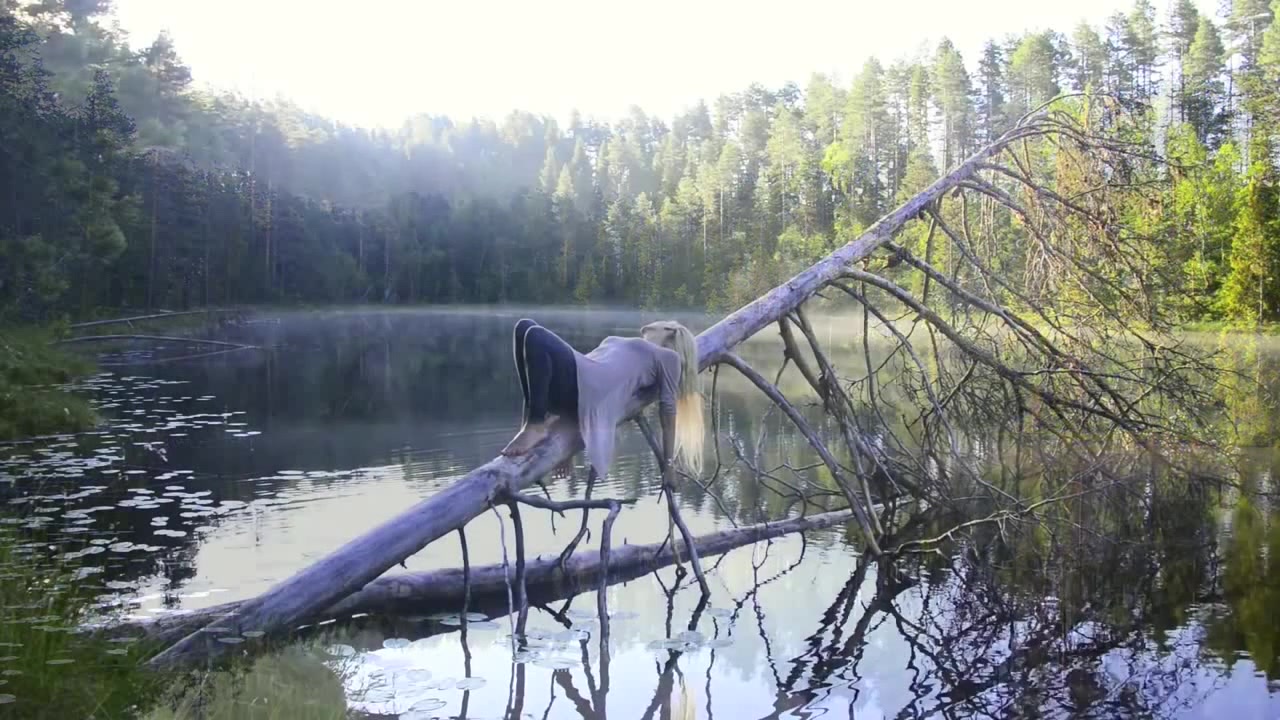 The magic of an early morning - Jonna Jinton (music: Forest Songs ...