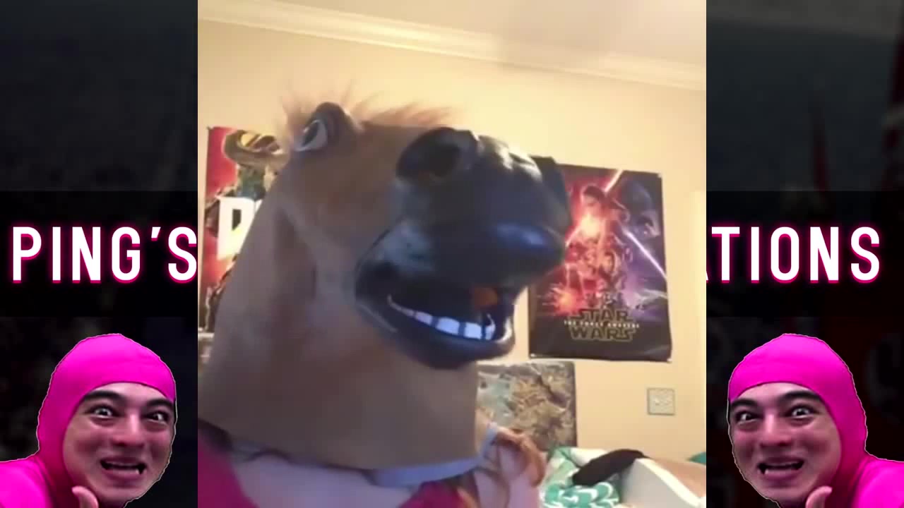 Dank Memes Compilation 4 (WARNING: DANK) - Coub