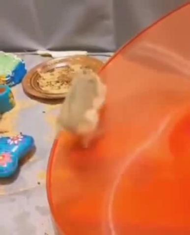 Run Boy Run! Break out from society - Coub