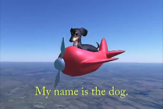 Dog of Wisdom - Coub