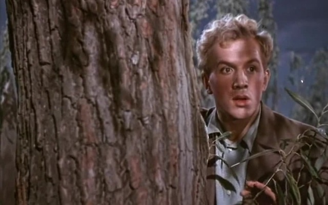 Guest And Wolf - Coub