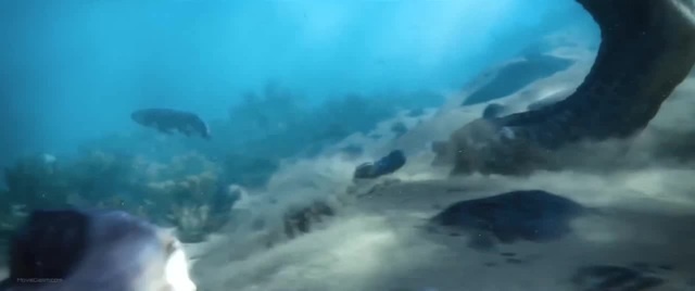 fun unforgettable fishing - Coub