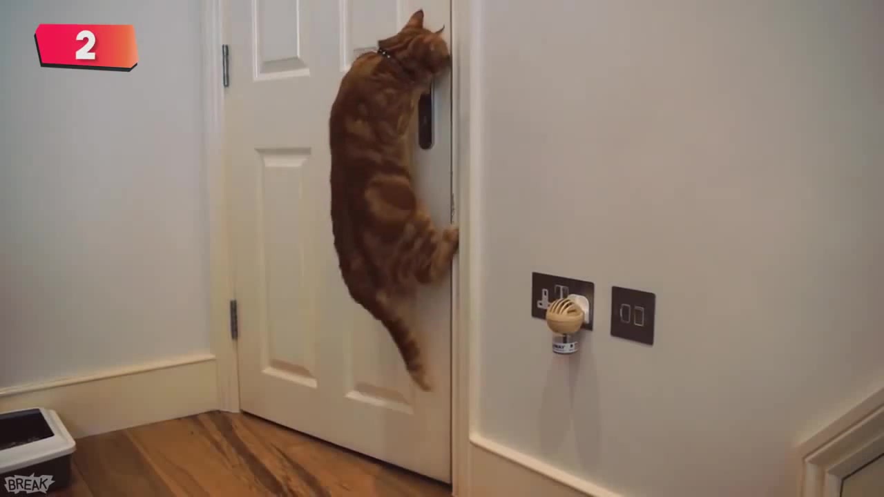 Never skip leg day - Coub