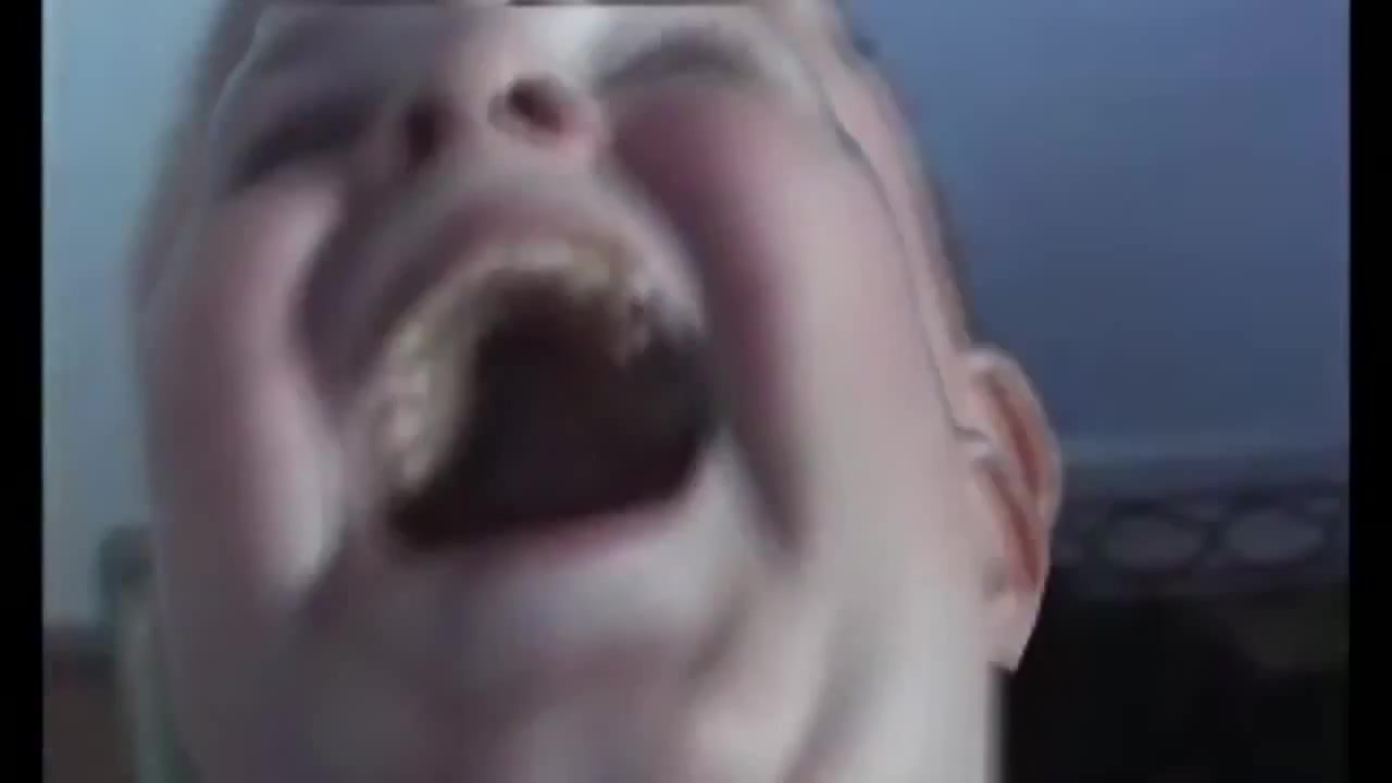 RYTP | Дятел Вуди [greenfodder] - Coub