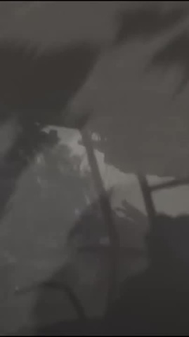 Nier Automata | 2B | AMV from Animasta's Youtube Channel - Coub