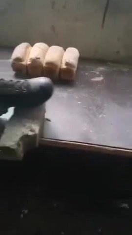 world's strongest bread - Coub