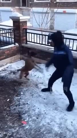 This is fiasco bro - Coub