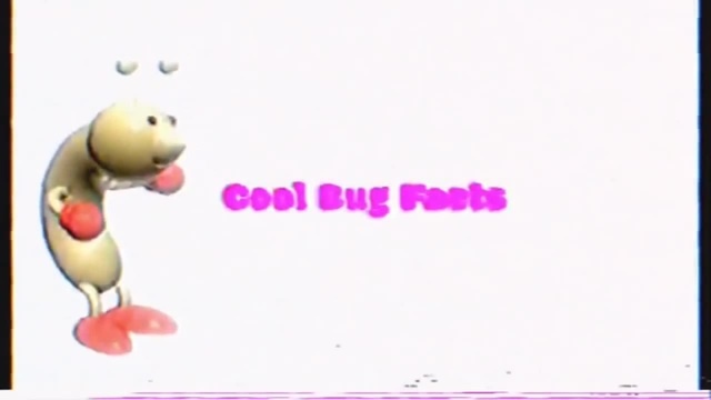 cool bug facts: - Coub