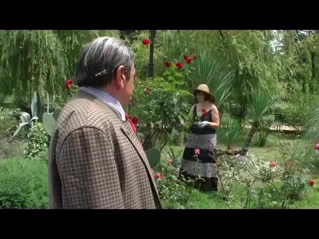 Lovers | ვიაროთ ერთად - Coub