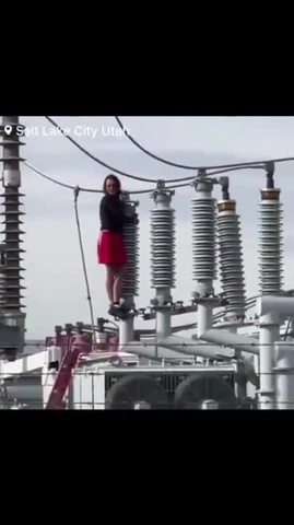 Insane in the Brain - Coub