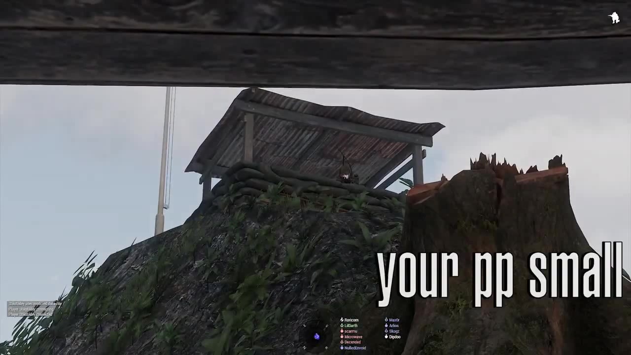 your pp small - Coub