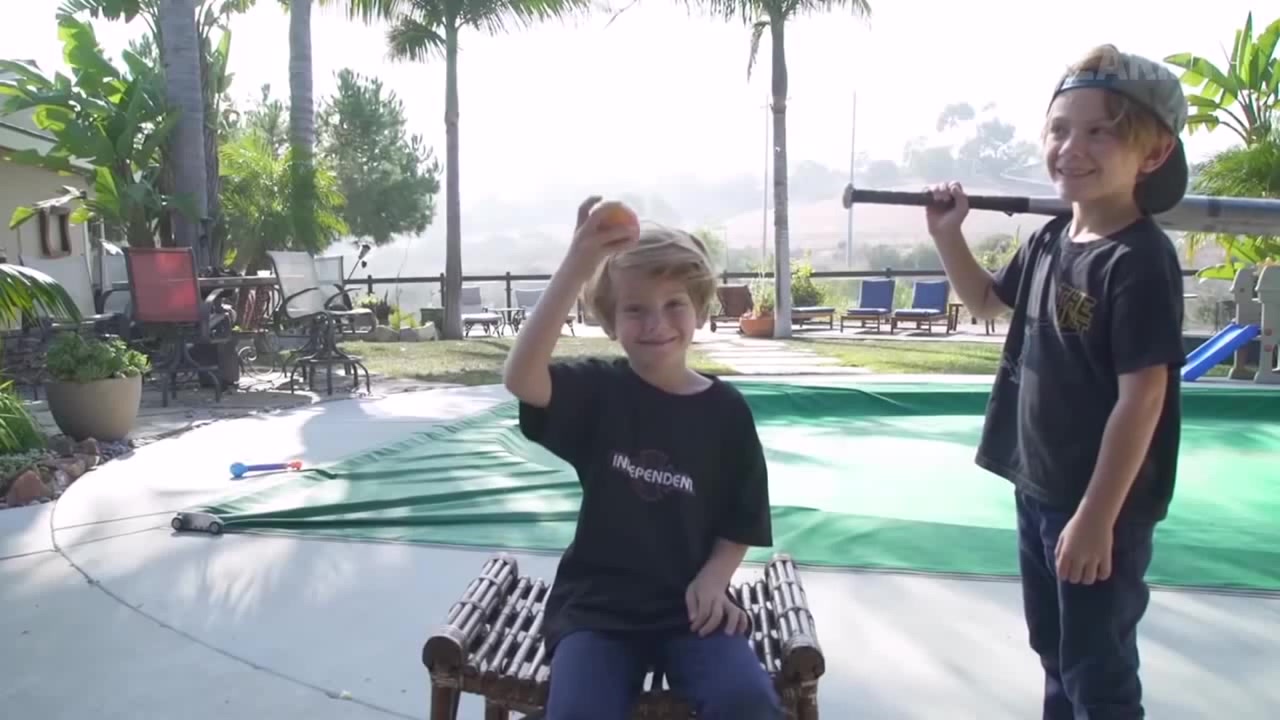 Fresh brain damage - Coub