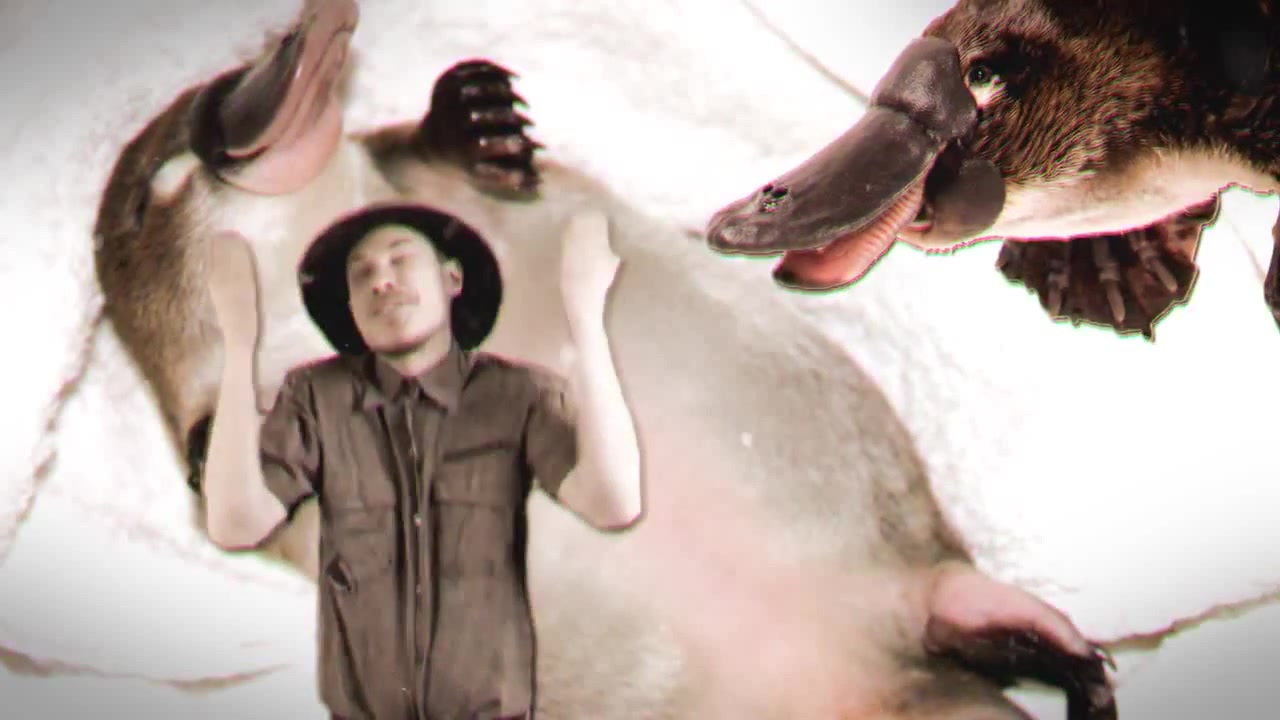 AUSTRALIA! (Australian rap) - Coub