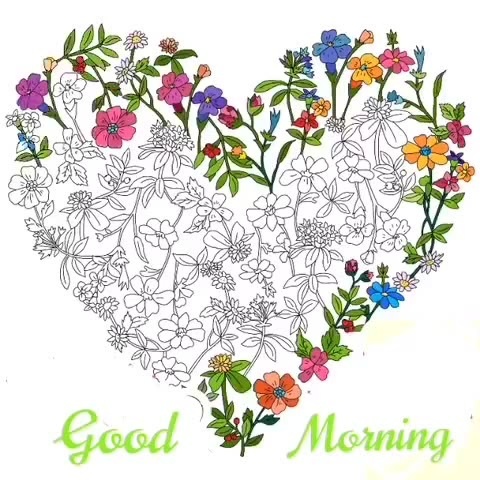 Good morning, my Habibi... - Coub