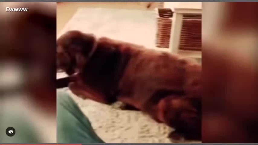 Under Pressure - Coub