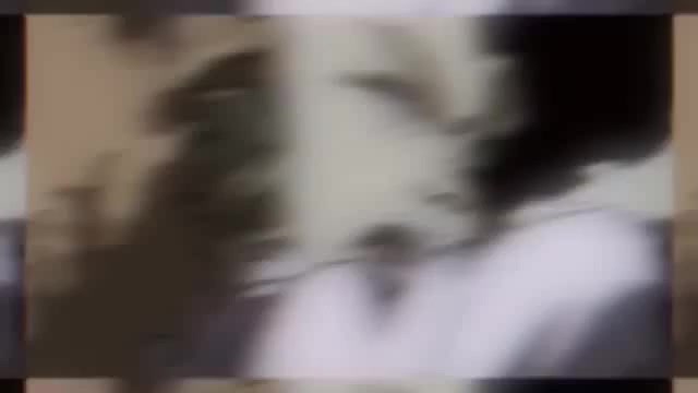 sunflower feelings - Coub