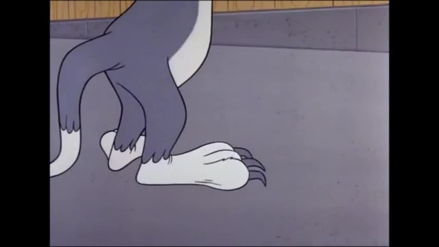Tom & Jerry Inflation - Coub