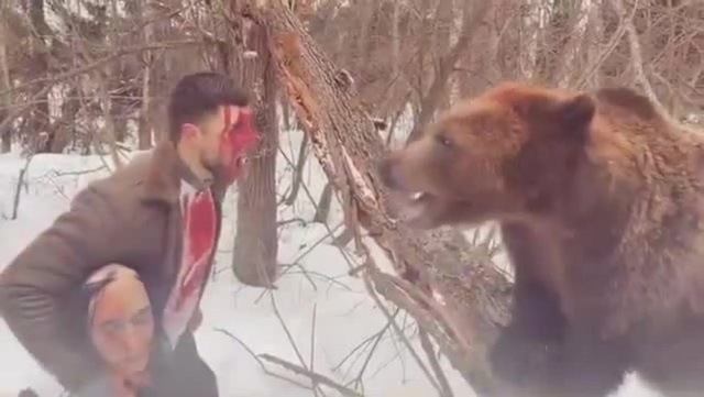 ALEX TERRIBLE GROWL AND BEAR - Coub