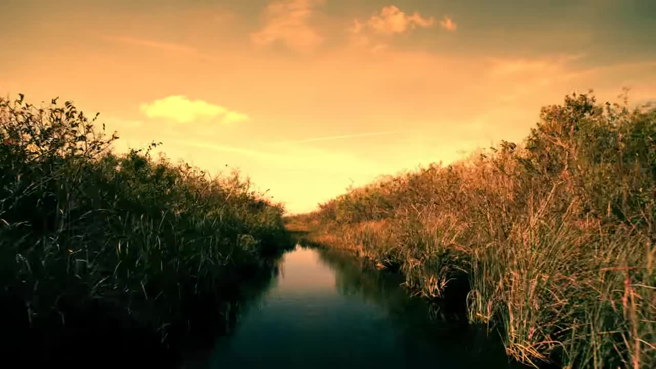 Flo Rida - Wild Ones ft. Sia - Coub