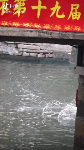 Duan Wu Festival - Coub