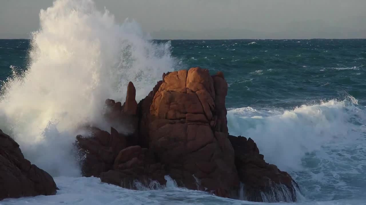 Amazing nature - Coub