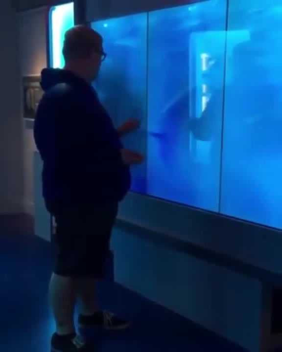 Touch at your own risk - Coub