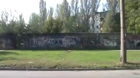 Магия рептилий, magic reptiles - Coub