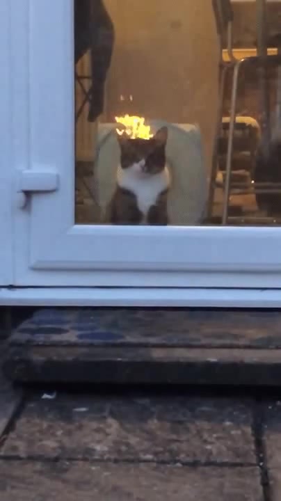 The Roof Is On Fire - Coub