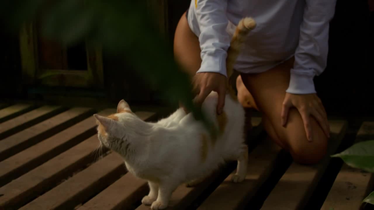 Papaya & empty - Coub