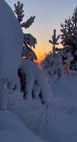 Зимний закат | Winter sunset - Coub