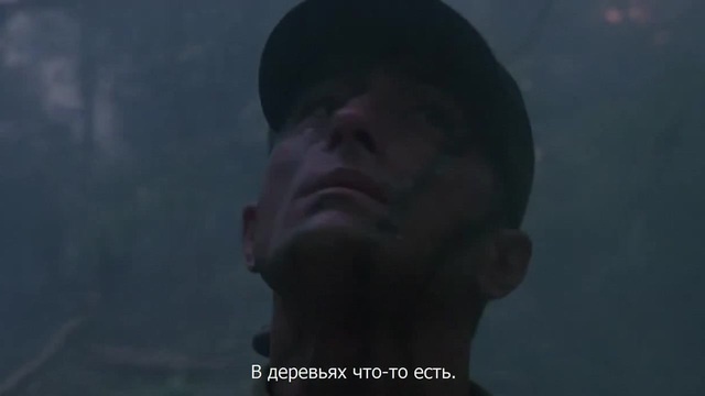 There's something in the trees - Coub