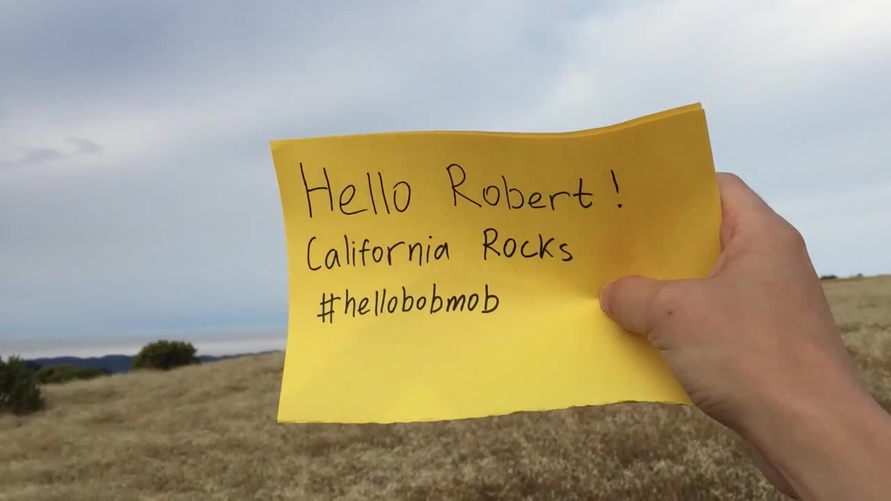 Hello Robert #hellobobmob - Coub
